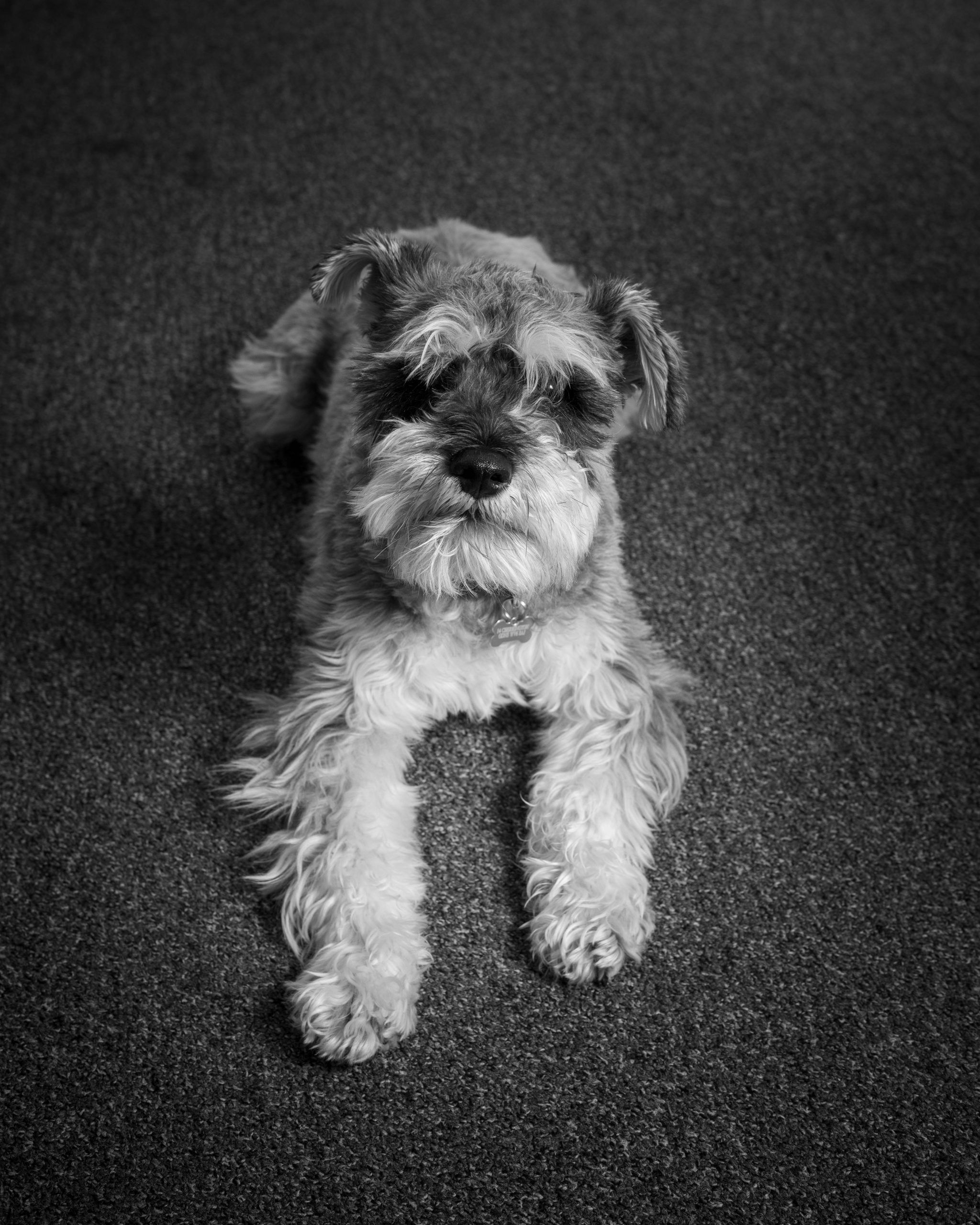 About Us – Concero Education