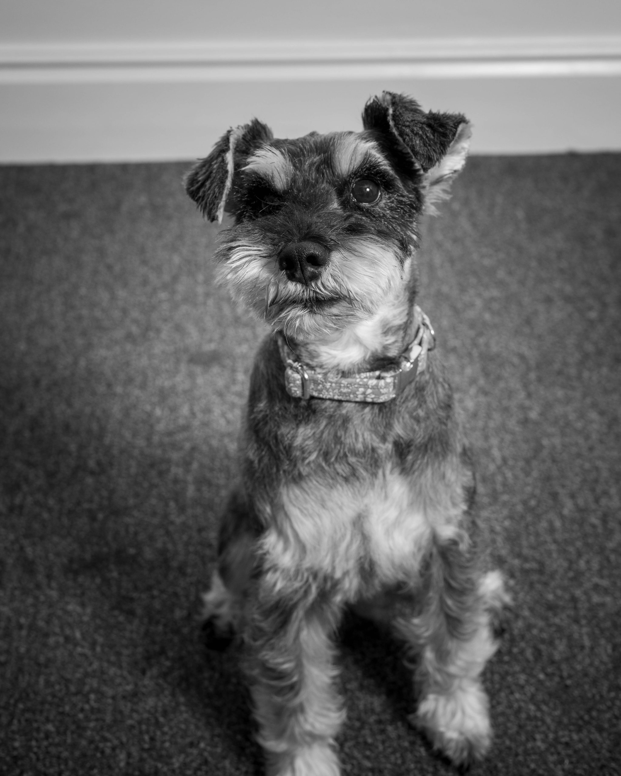 About Us – Concero Education